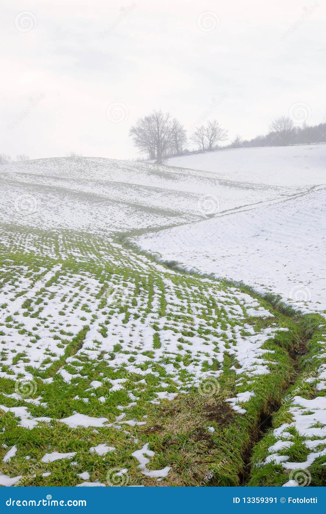Green and snow stock image. Image of tree, hill, nature - 13359391