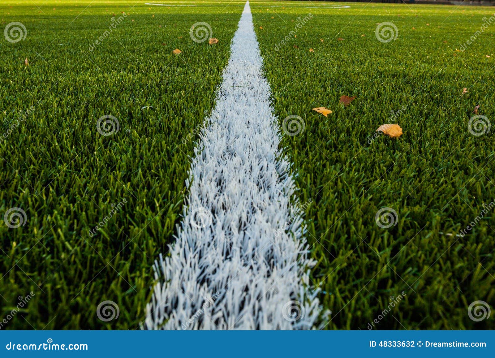 9,329 Field Mark Stock Photos - Free & Royalty-Free Stock Photos from ...