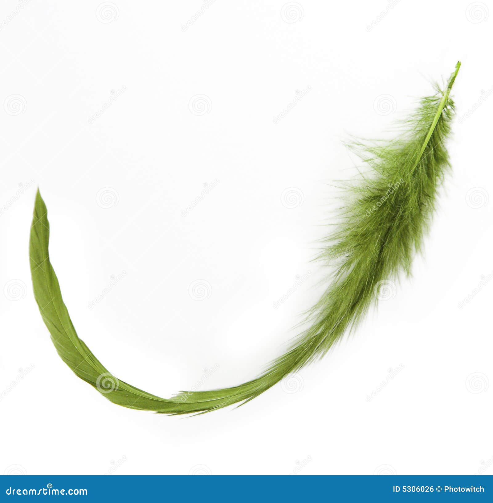 Green soft feather stock photo. Image of dust, warm, fluffy - 5306026