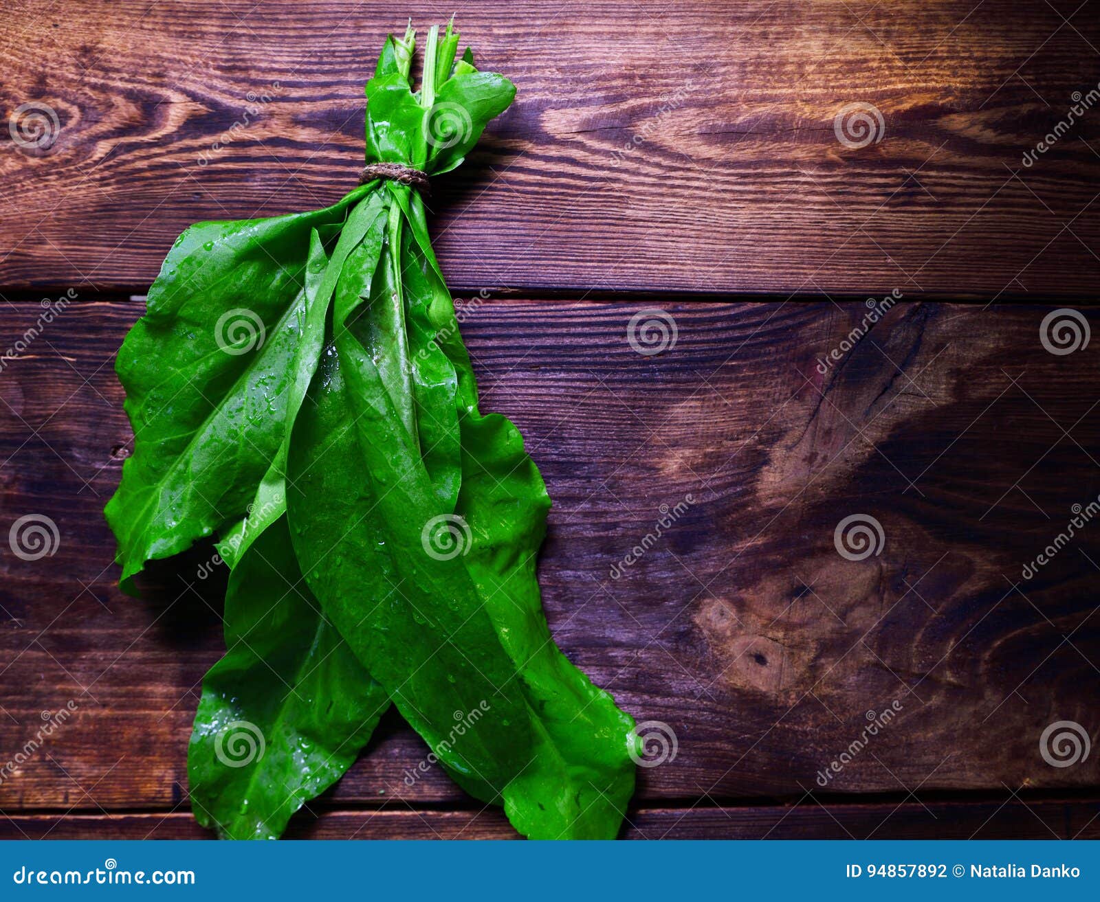 Green Sorrel on a Brown Wooden Background Stock Photo - Image of eating ...
