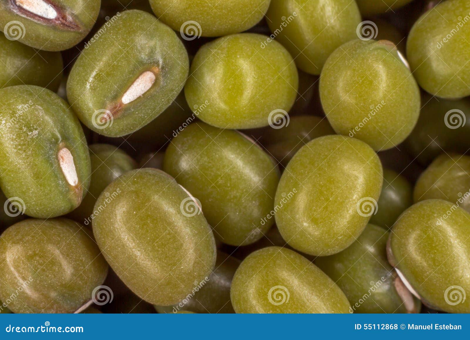 Green Soya Bean (Glycine Max) Stock Photo - Image of organic, soya ...