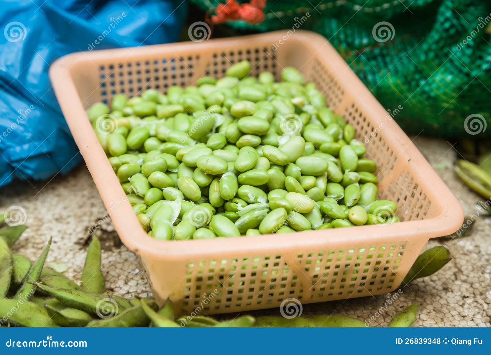 Green soybean stock photo. Image of food, crop, cultivation - 26839348