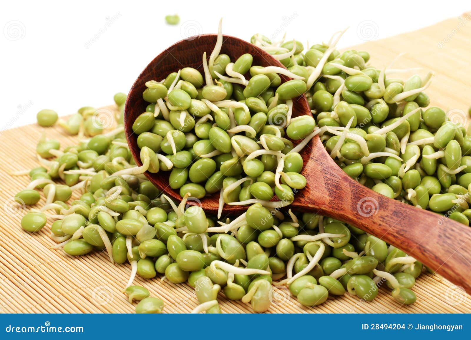 Green soybean sprouts stock photo. Image of healthy, lentil - 28494204