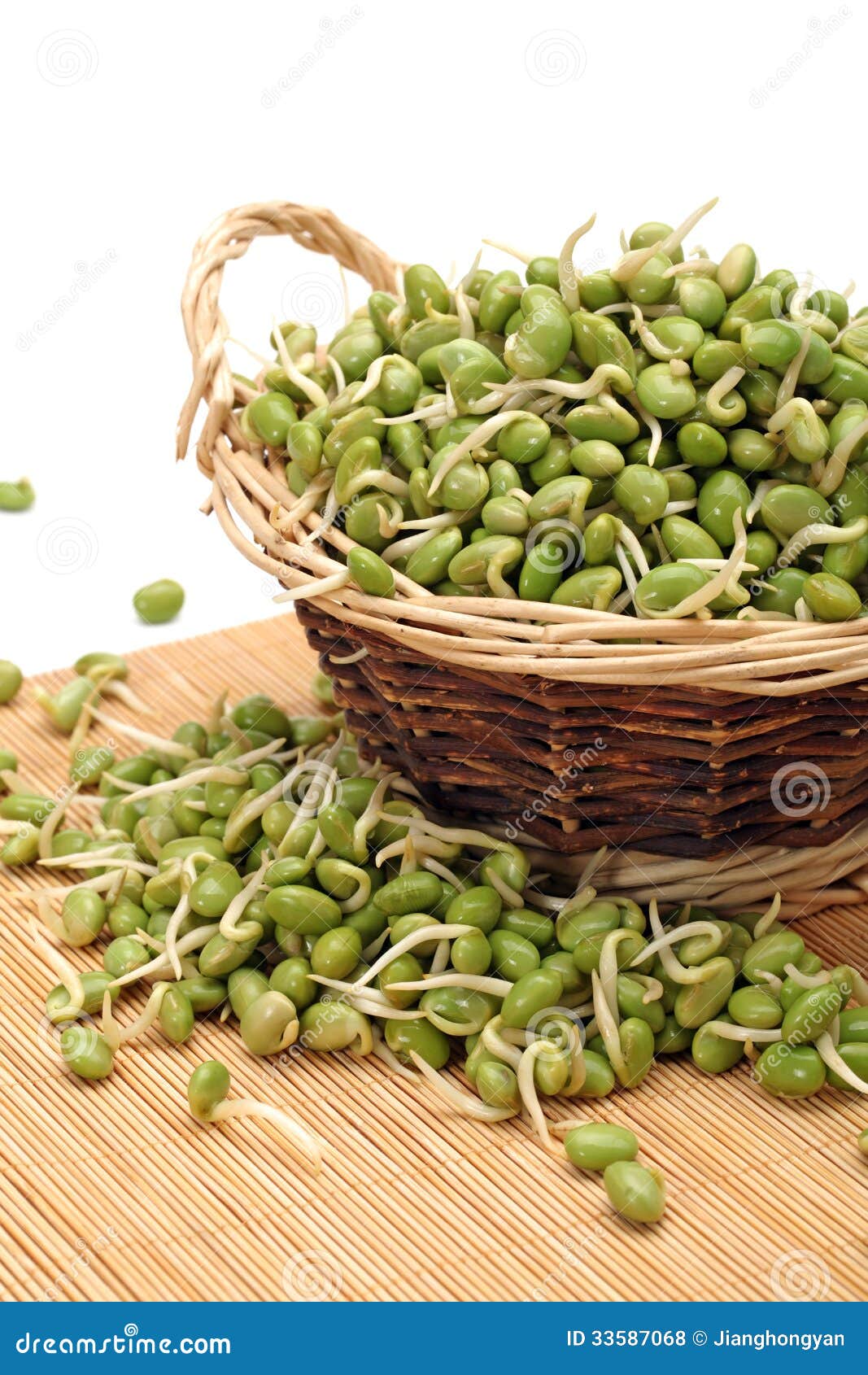 Green soybean sprouts stock photo. Image of green, food - 33587068