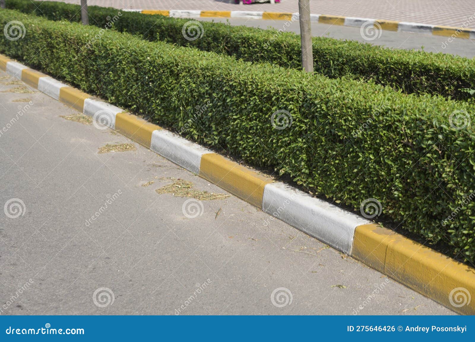 Green Spaces in Landscaping, Walkways, Stone Borders Stock Photo ...
