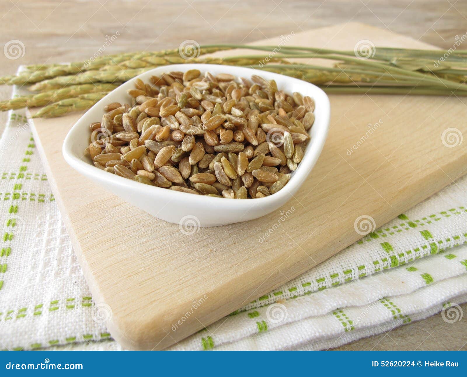 Green spelt and spelt ears stock photo. Image of grains - 52620224