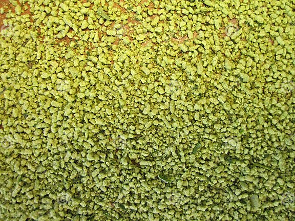 Green spices stock image. Image of food, piece, aromatic - 29057113