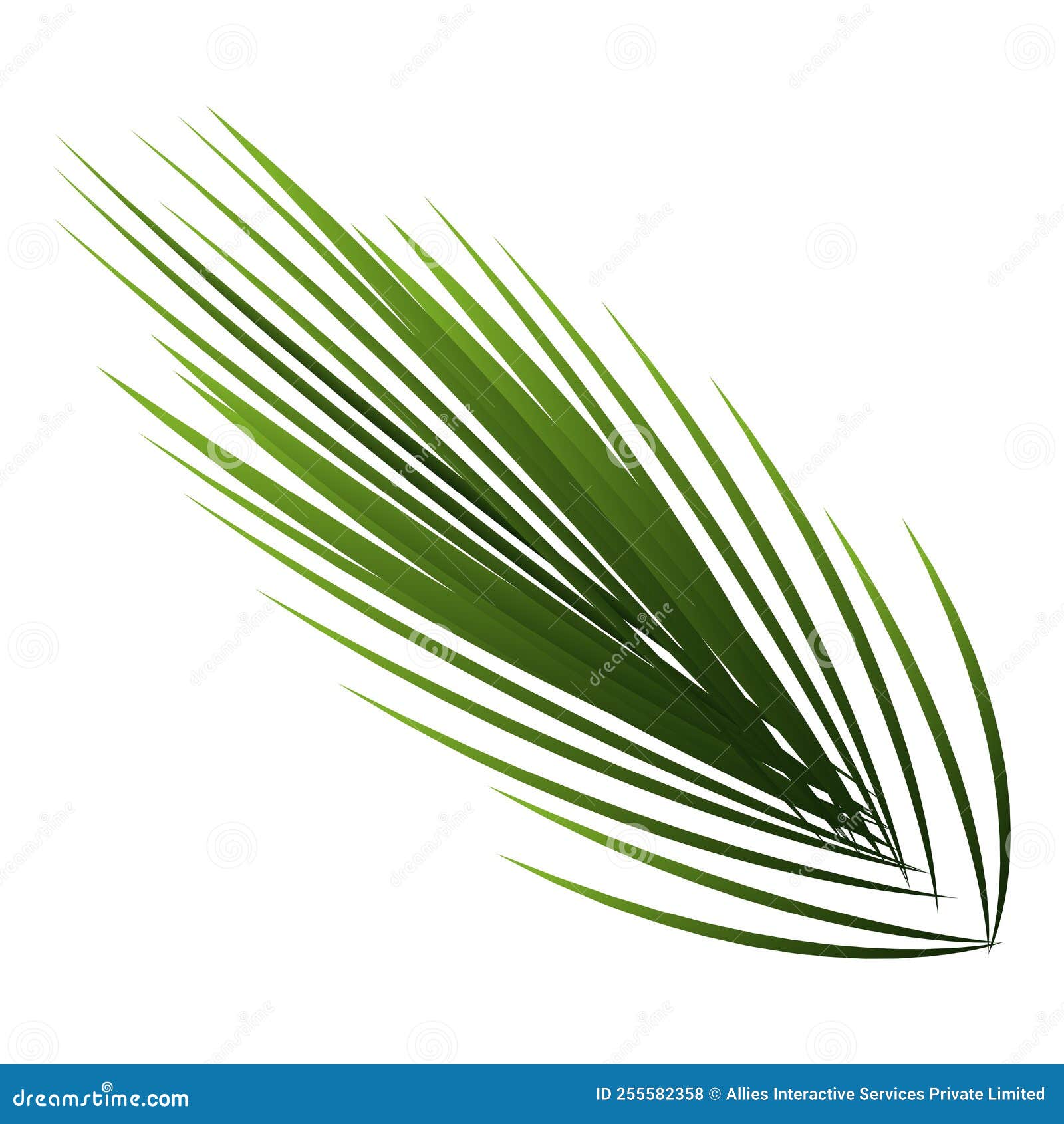 Green Spiky Leaves on White Stock Illustration - Illustration of ...