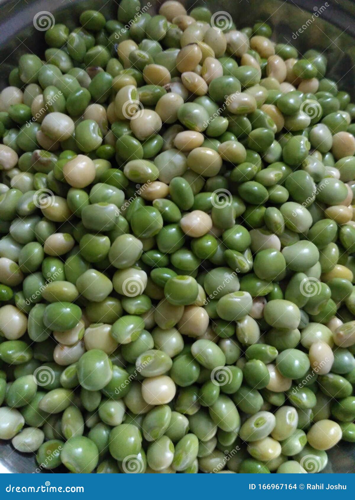 Green Split red gram stock photo. Image of gram, split - 166967164