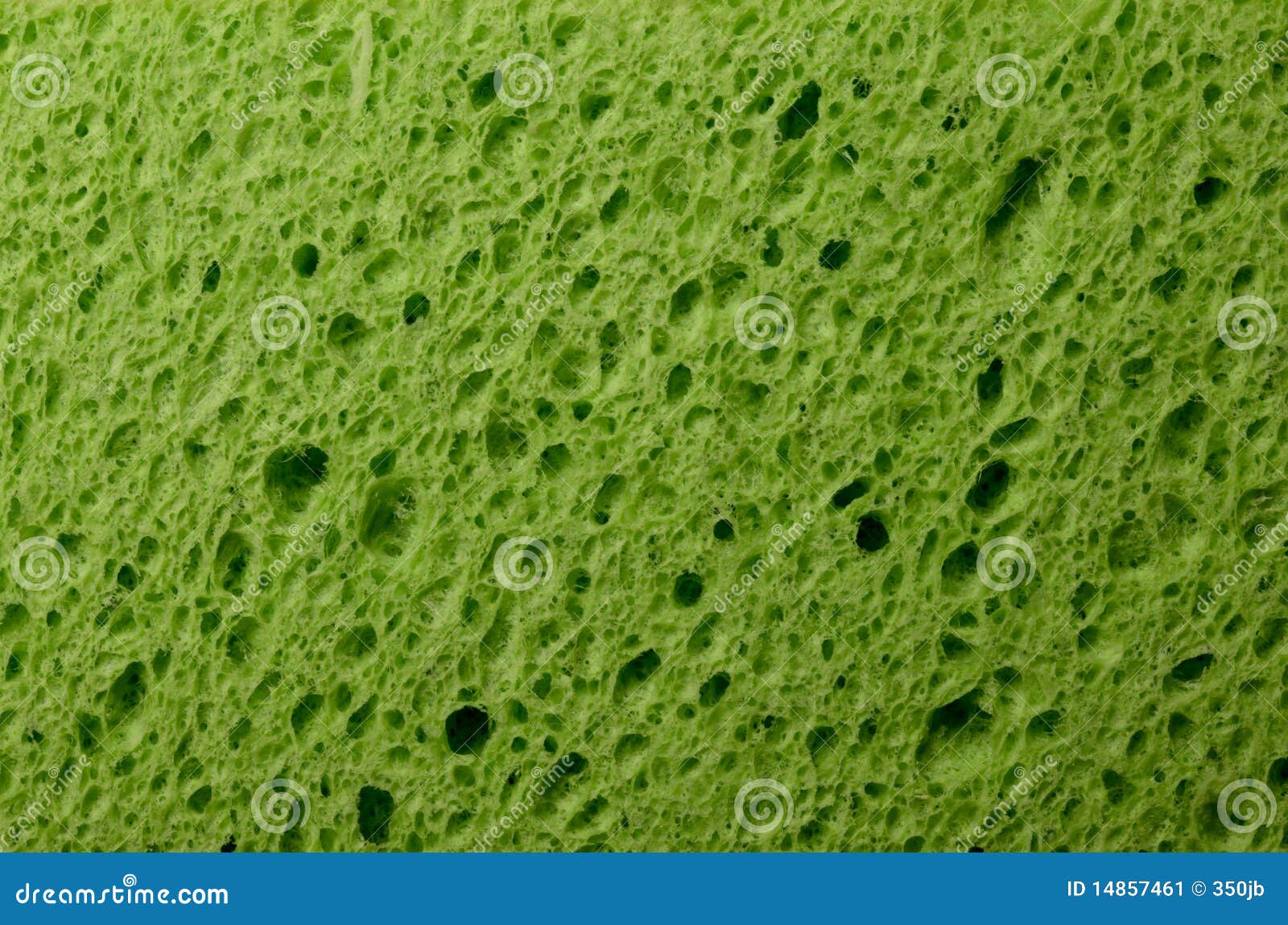 Green sponge stock image. Image of background, green - 14857461