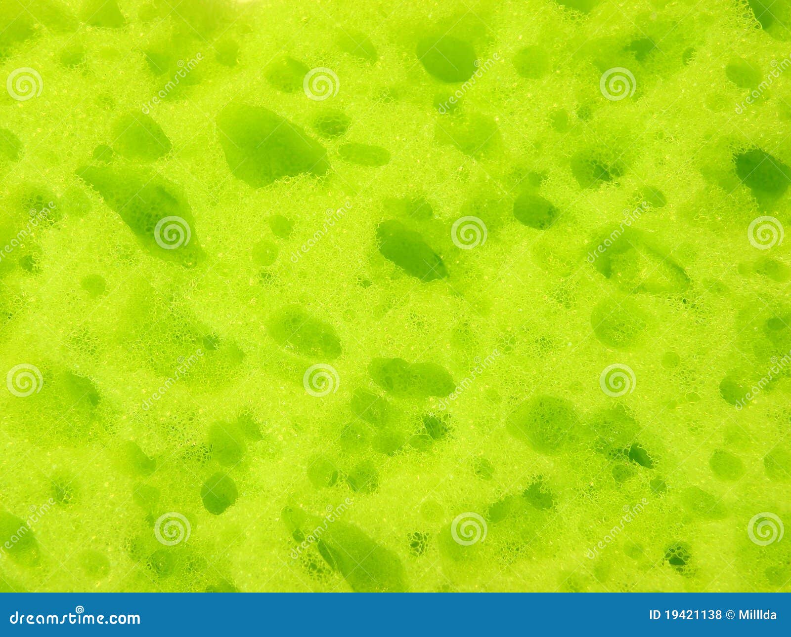 Green sponge stock photo. Image of tool, textures, macro - 19421138