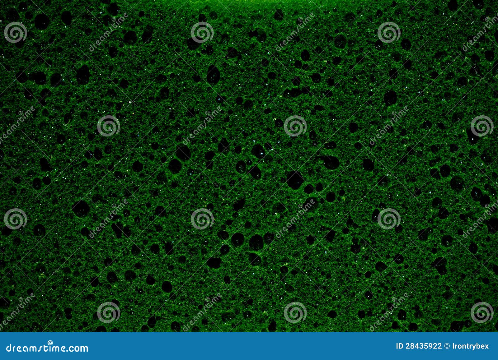 Green sponge background stock photo. Image of background - 28435922