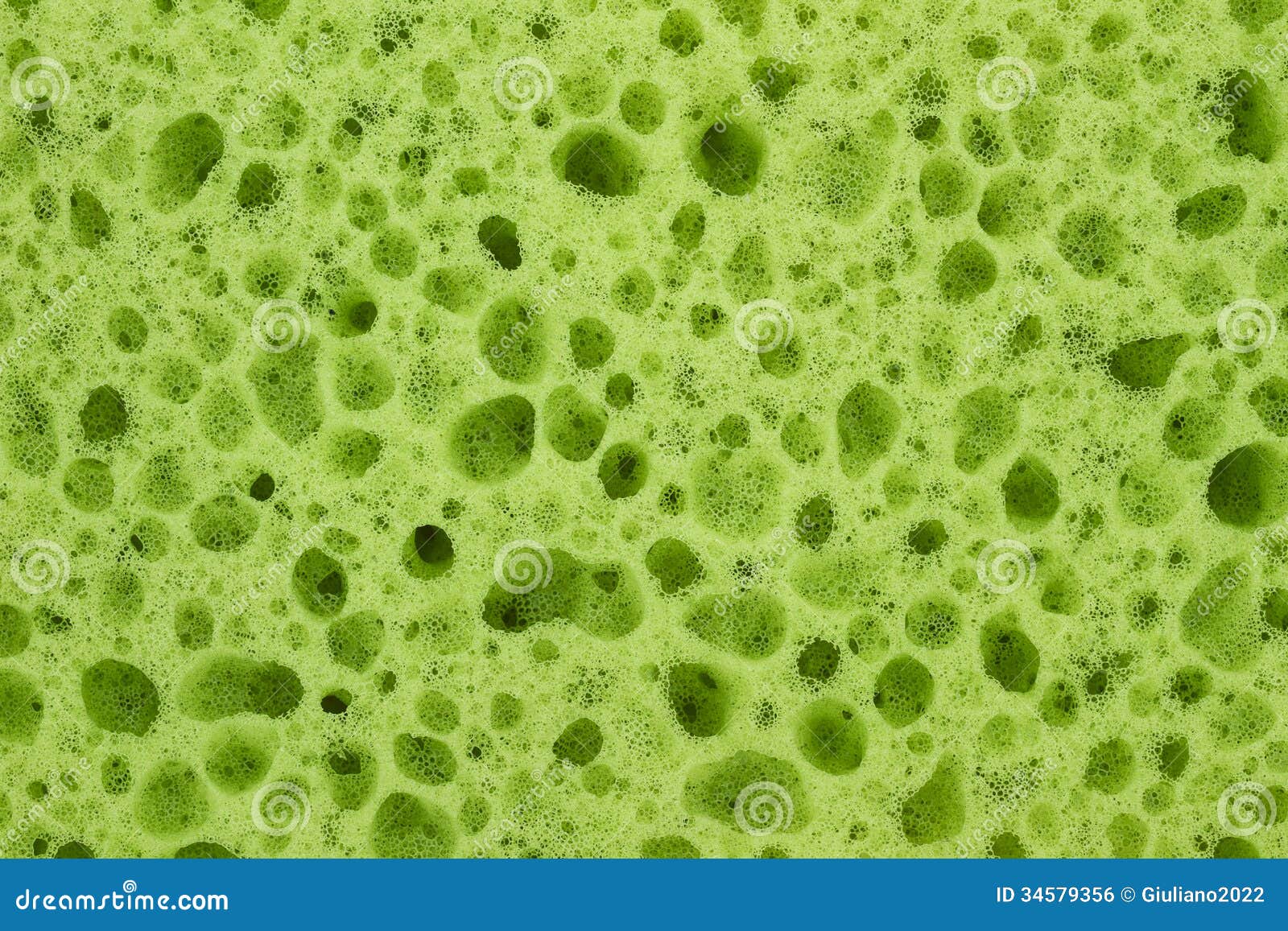 Green sponge stock photo. Image of cyan, porous, abstract - 34579356