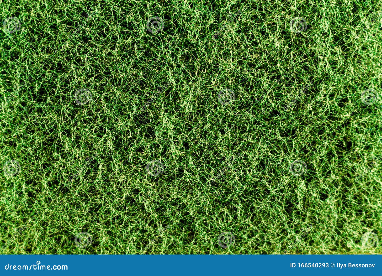 Green Sponge Made of Fibrous Material. Texture, Background. in Increase ...