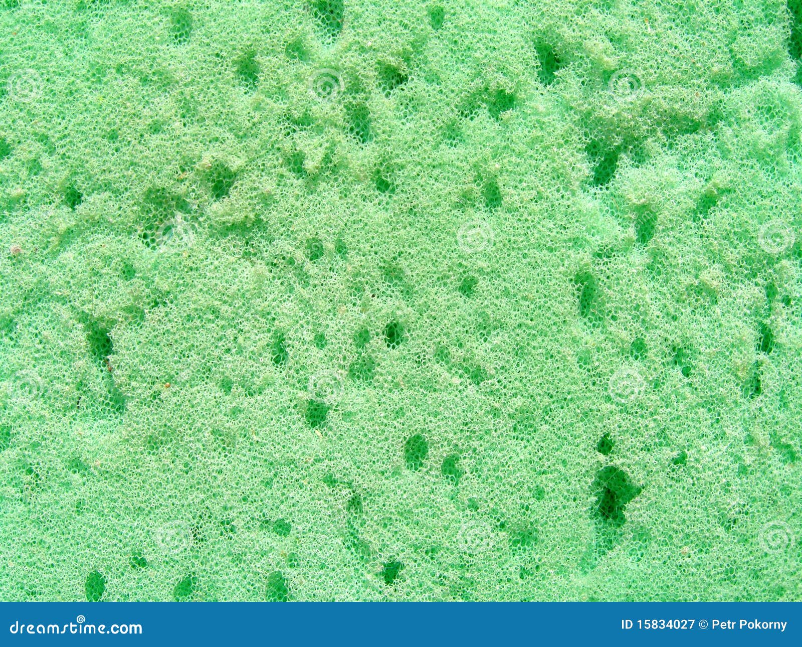 Green sponge texture stock image. Image of washing, cool - 15834027