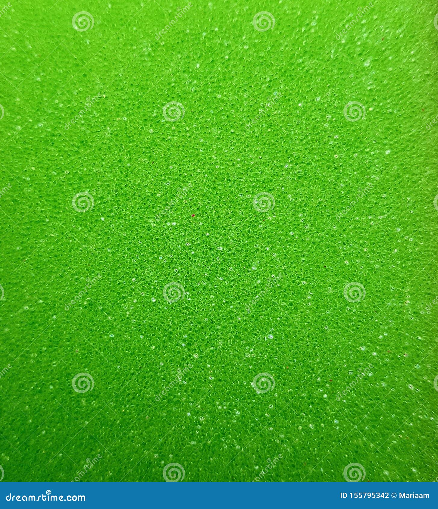 Green Sponge Texture. Background of Sponge in Green. Stock Photo ...