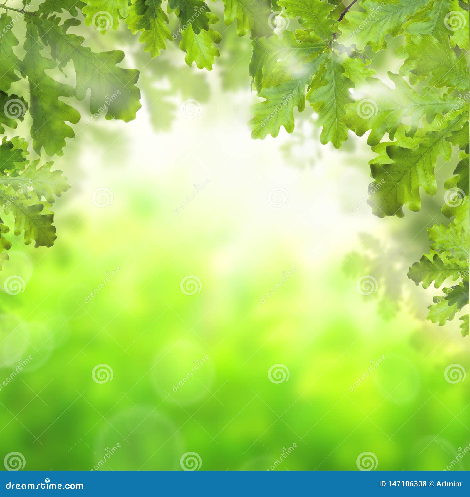 Green Spring Background with Green Oak Leaves Stock Illustration ...