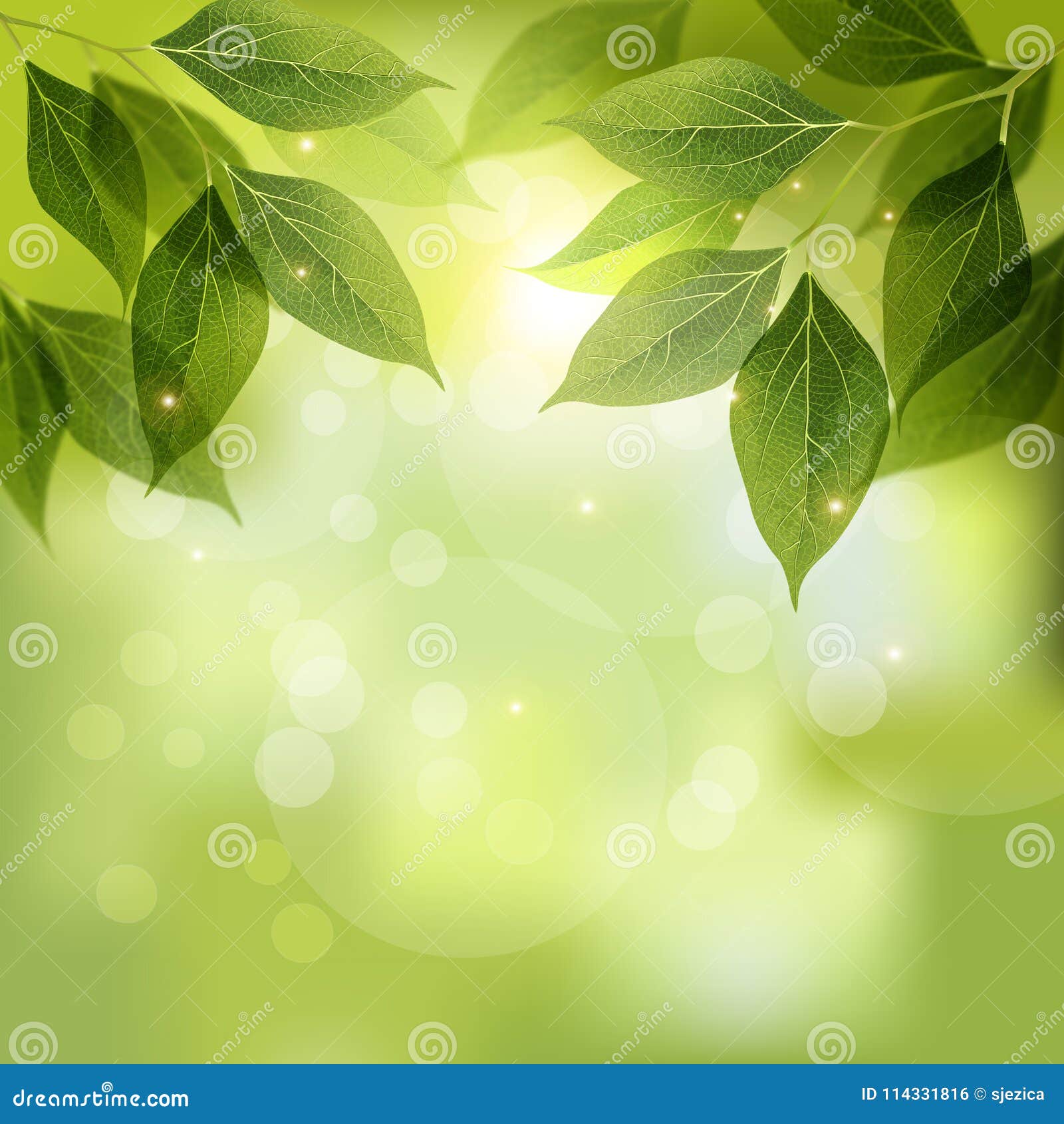 Green Spring Background. Vector Stock Photo - Image of detail, close ...