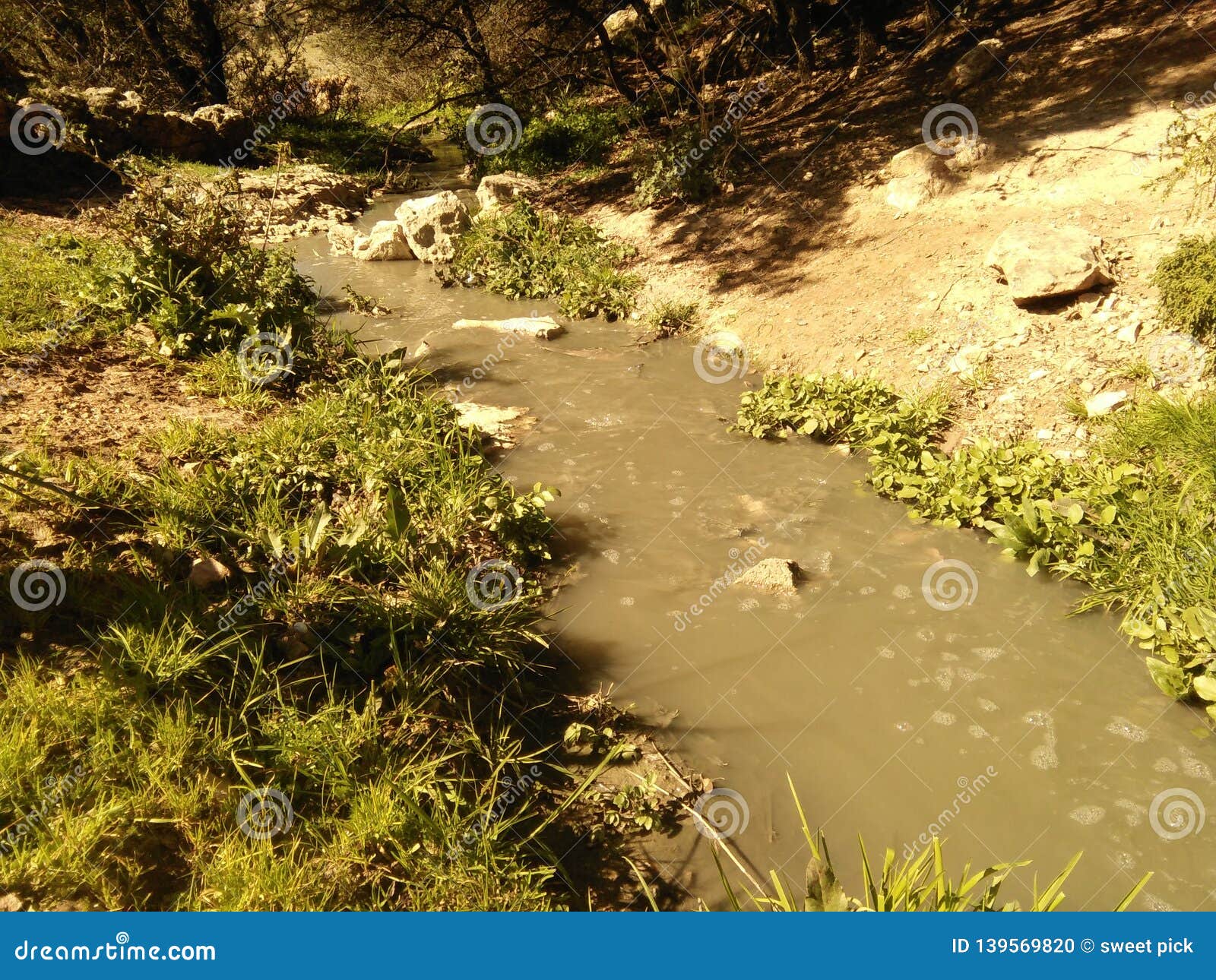 A small river stock photo. Image of spring, green, small - 139569820