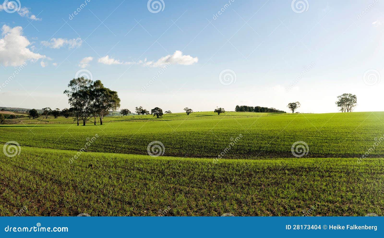 Green Spring Fields stock photo. Image of outside, cloud - 28173404