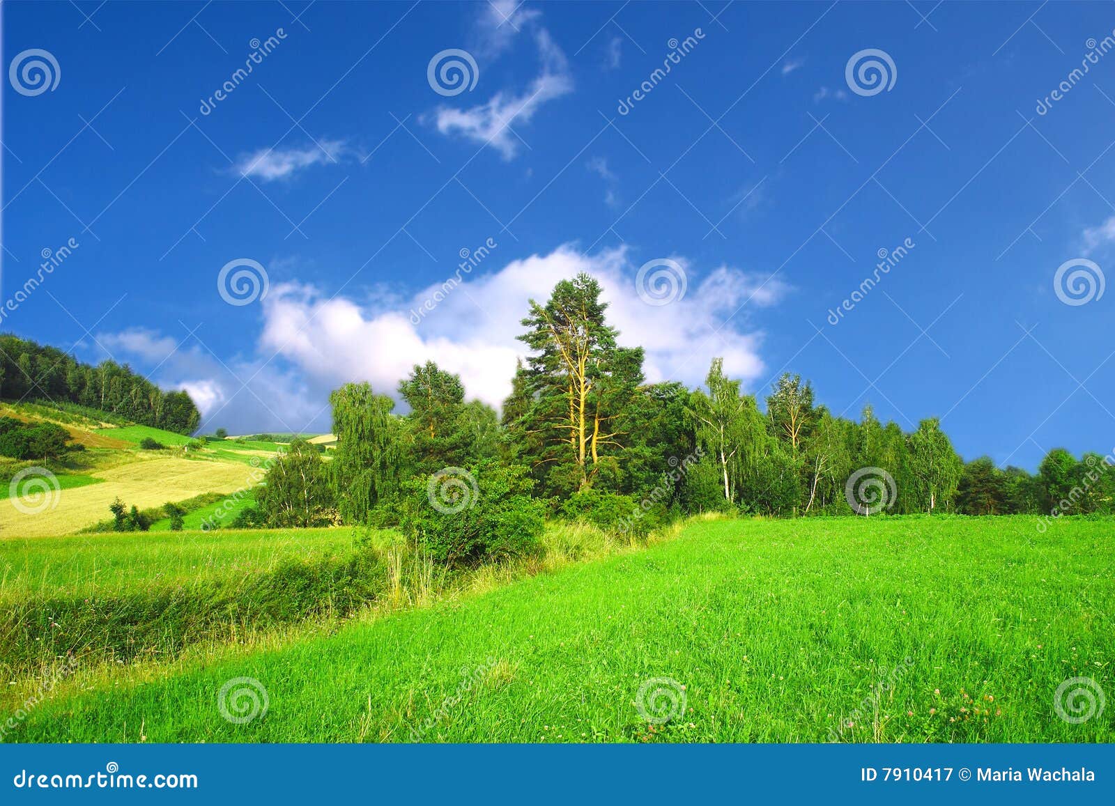 Green Spring Landscape stock image. Image of land, country - 7910417