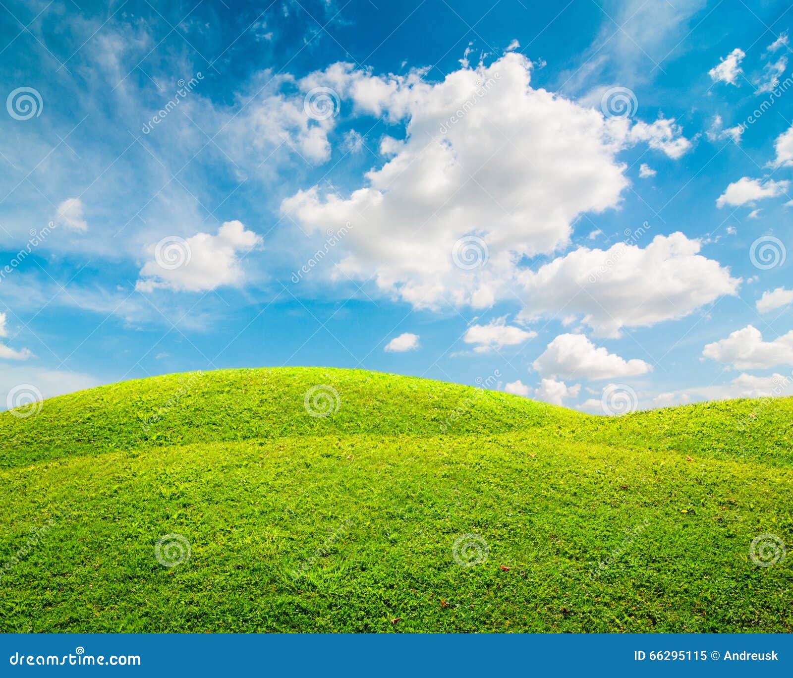 Green spring landscape stock image. Image of scenery - 66295115