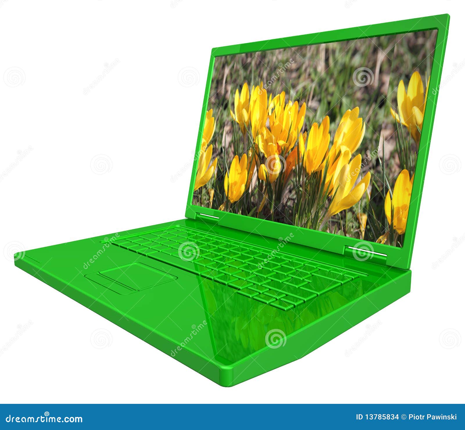 Green Spring Laptop Isolated On White. Stock Illustration ...