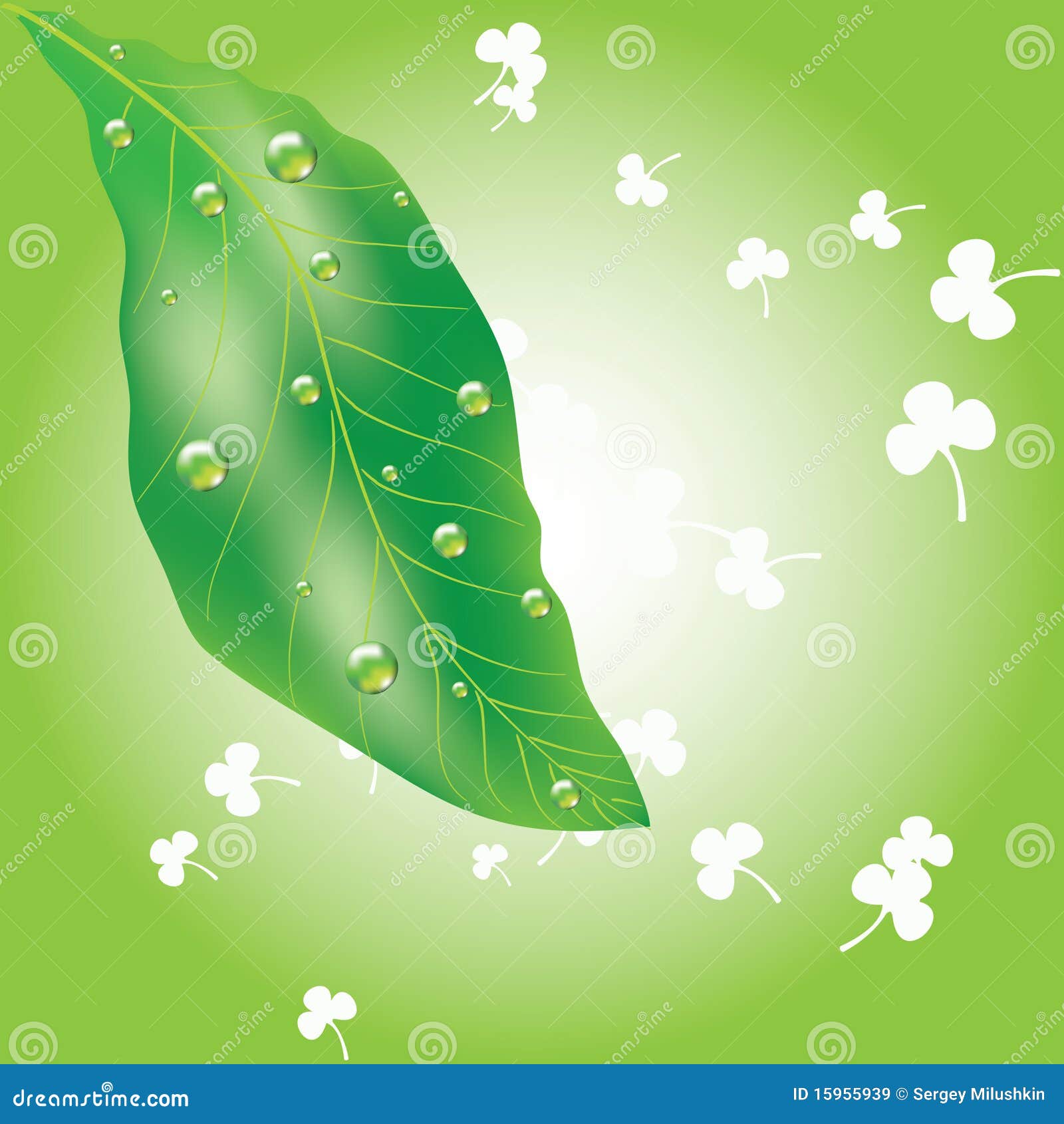 Green spring leaf stock vector. Illustration of flowing - 15955939