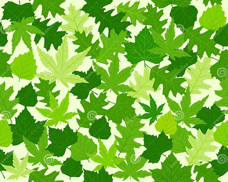 Green Spring Leaves Texture Seamless Pattern Stock Vector ...