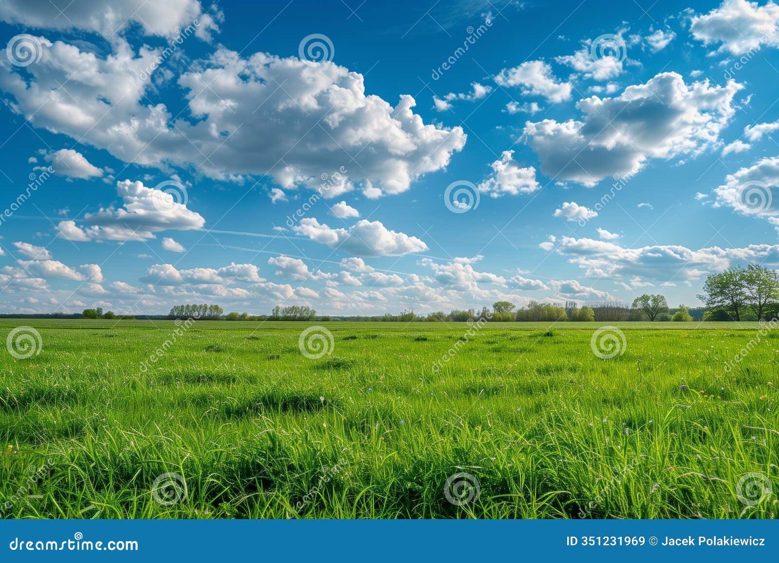 Green Spring Meadow and Blue Sky with Clouds. Stock Illustration ...