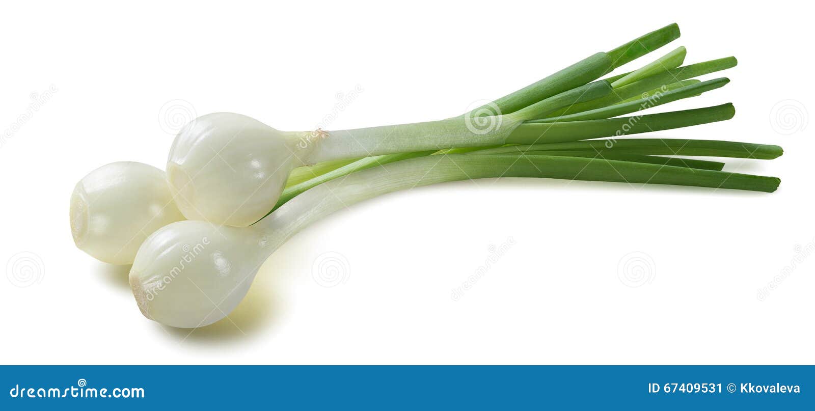 Spring Onion, Garlic With Ginger Royalty-Free Stock Photo ...