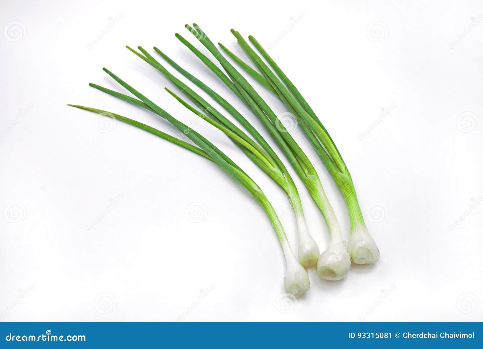 Green Spring Onion on White Background Stock Image - Image of nutrition ...