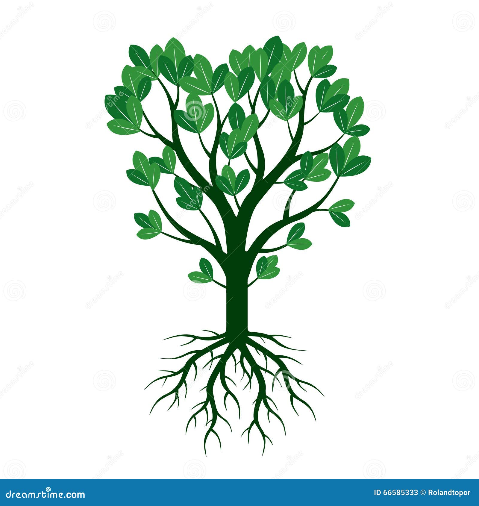 Green Spring Tree and Roots. Vector Illustration Stock Illustration ...
