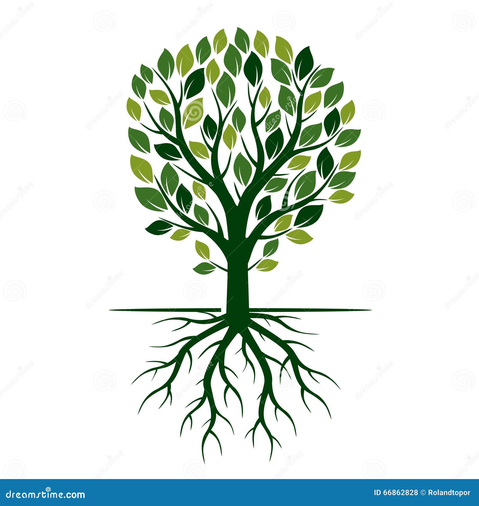 Green Spring Tree and Roots. Vector Illustration Stock Illustration ...