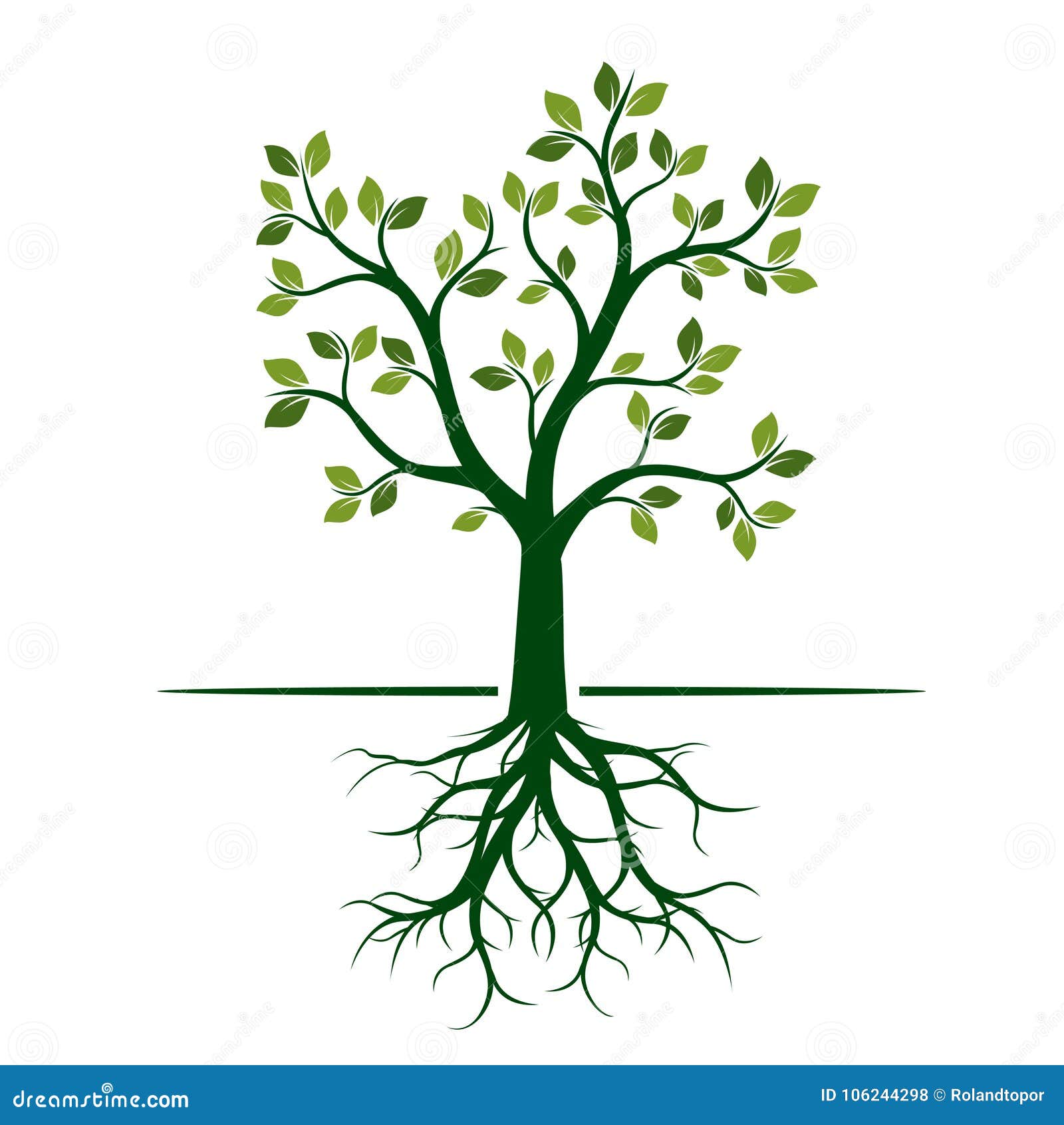 Green Spring Tree with Roots. Vector Illustration. Stock Vector ... Green Spring Tree with Roots. Vector Illustration. Stock Vector ...