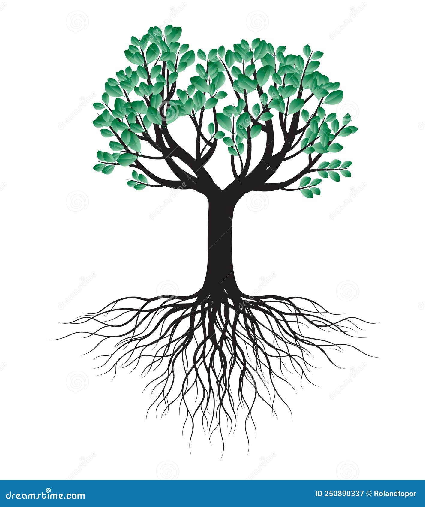 Green Spring Tree with Roots. Vector Illustration Stock Vector ...