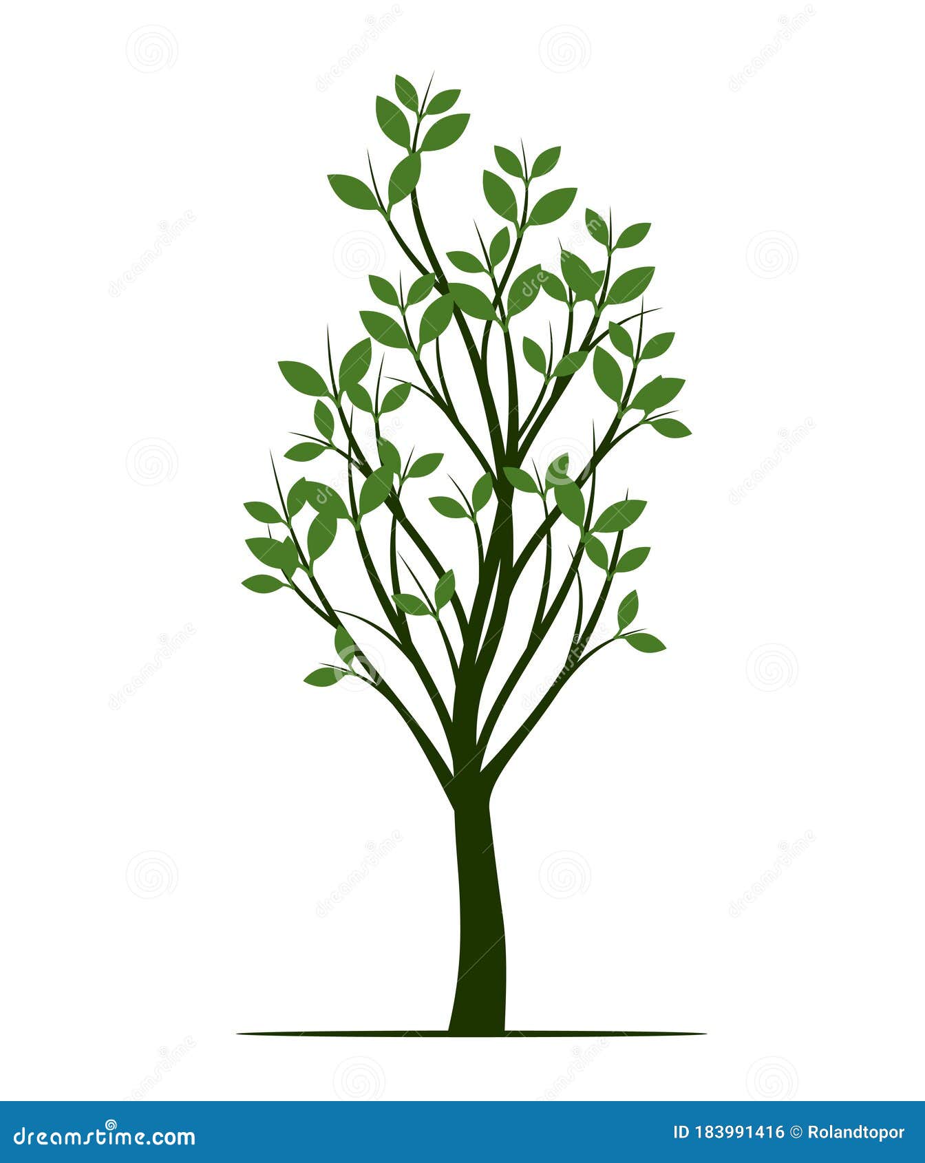 Green Spring Tree. Vector Outline Illustration Stock Vector ...