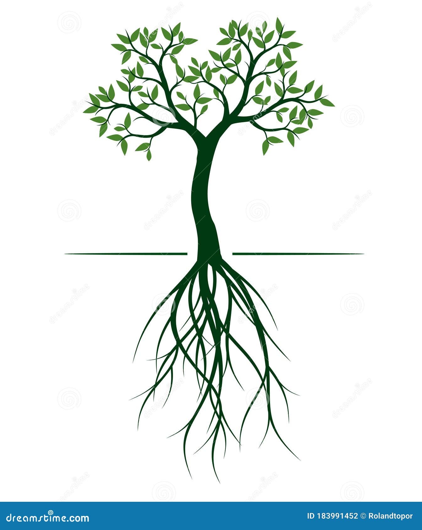 Green Spring Tree. Vector Outline Illustration Stock Vector ...