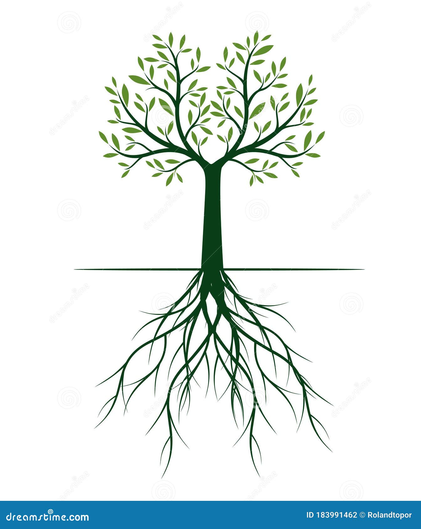 Green Spring Tree. Vector Outline Illustration Stock Vector ...