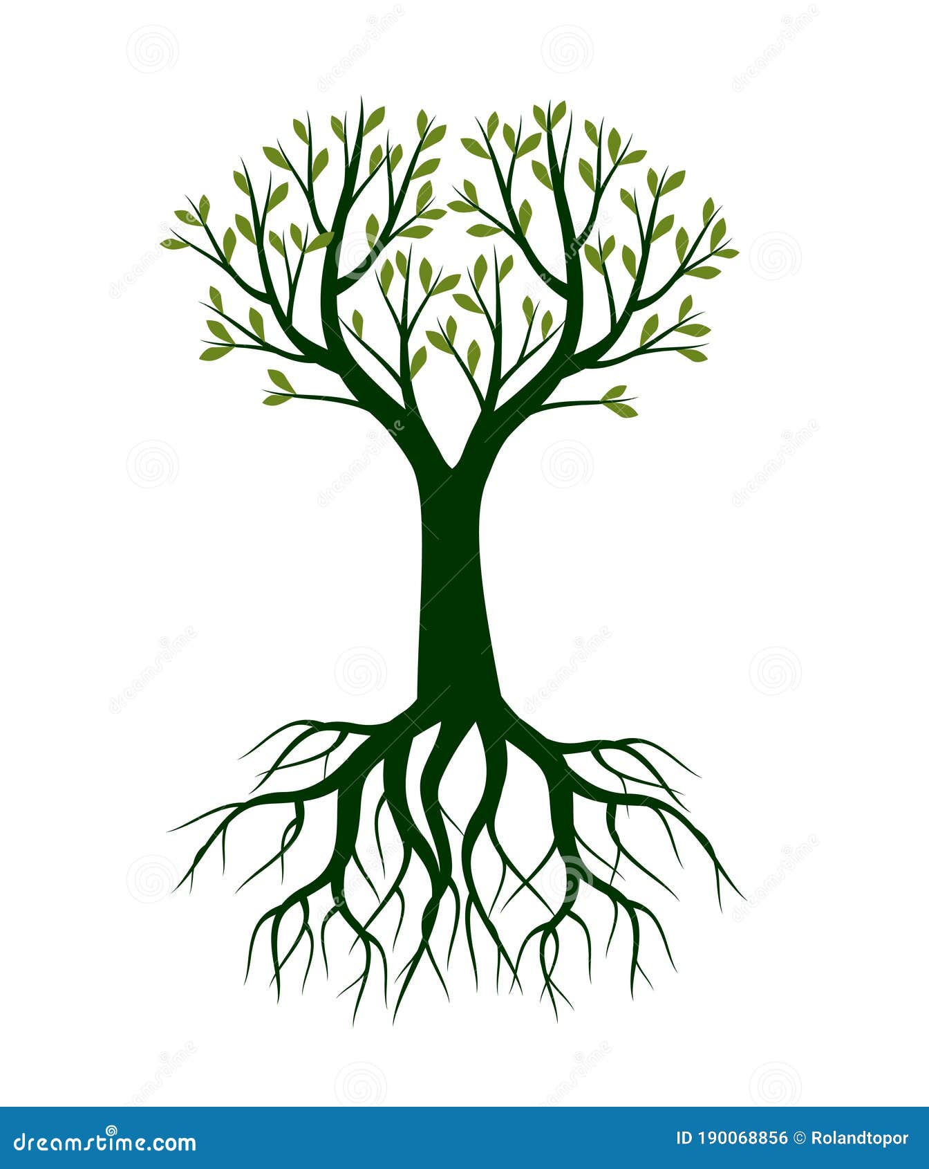 Green Spring Tree. Vector Outline Illustration Stock Vector ...