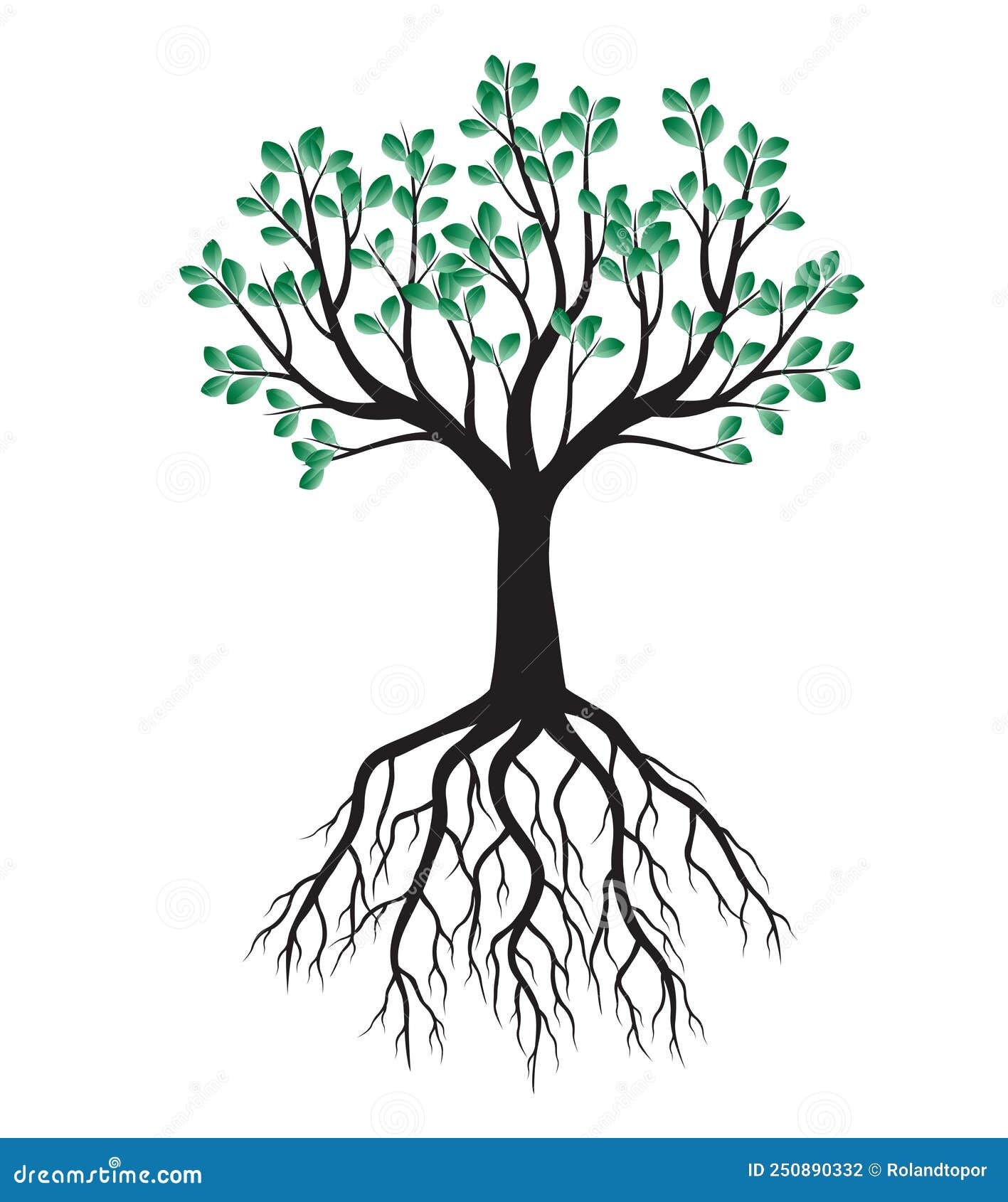 Green Spring Tree Wth Roots. Vector Illustration Stock Vector ...
