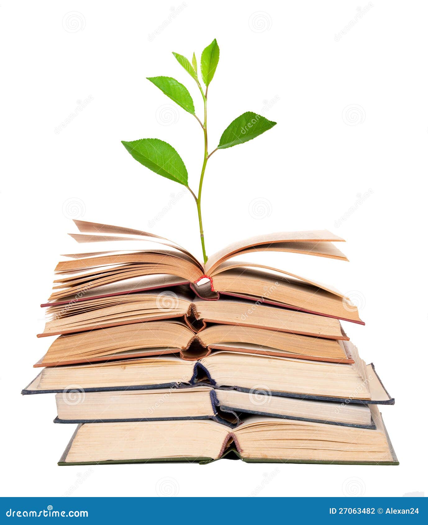 Green Sprout Growing from Open Books Stock Photo - Image of pile ...