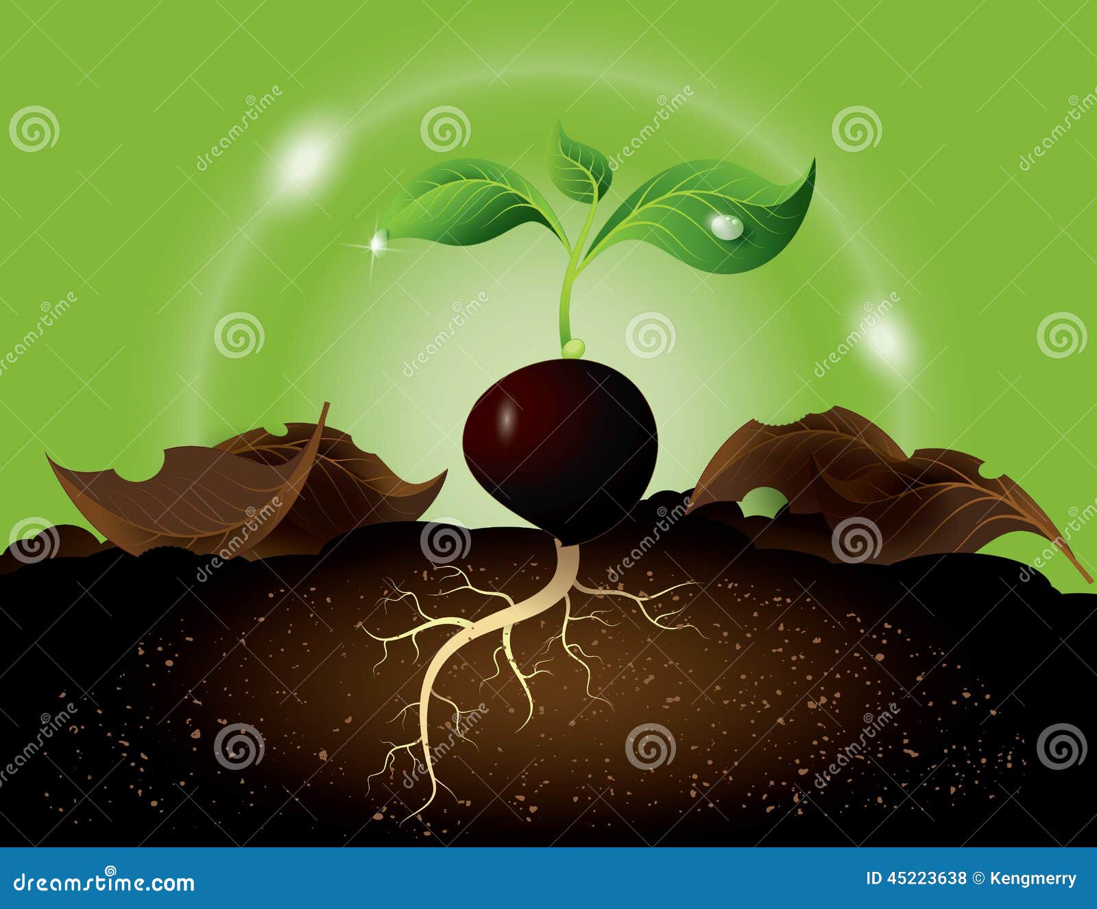 Sprouting Seed Vector
