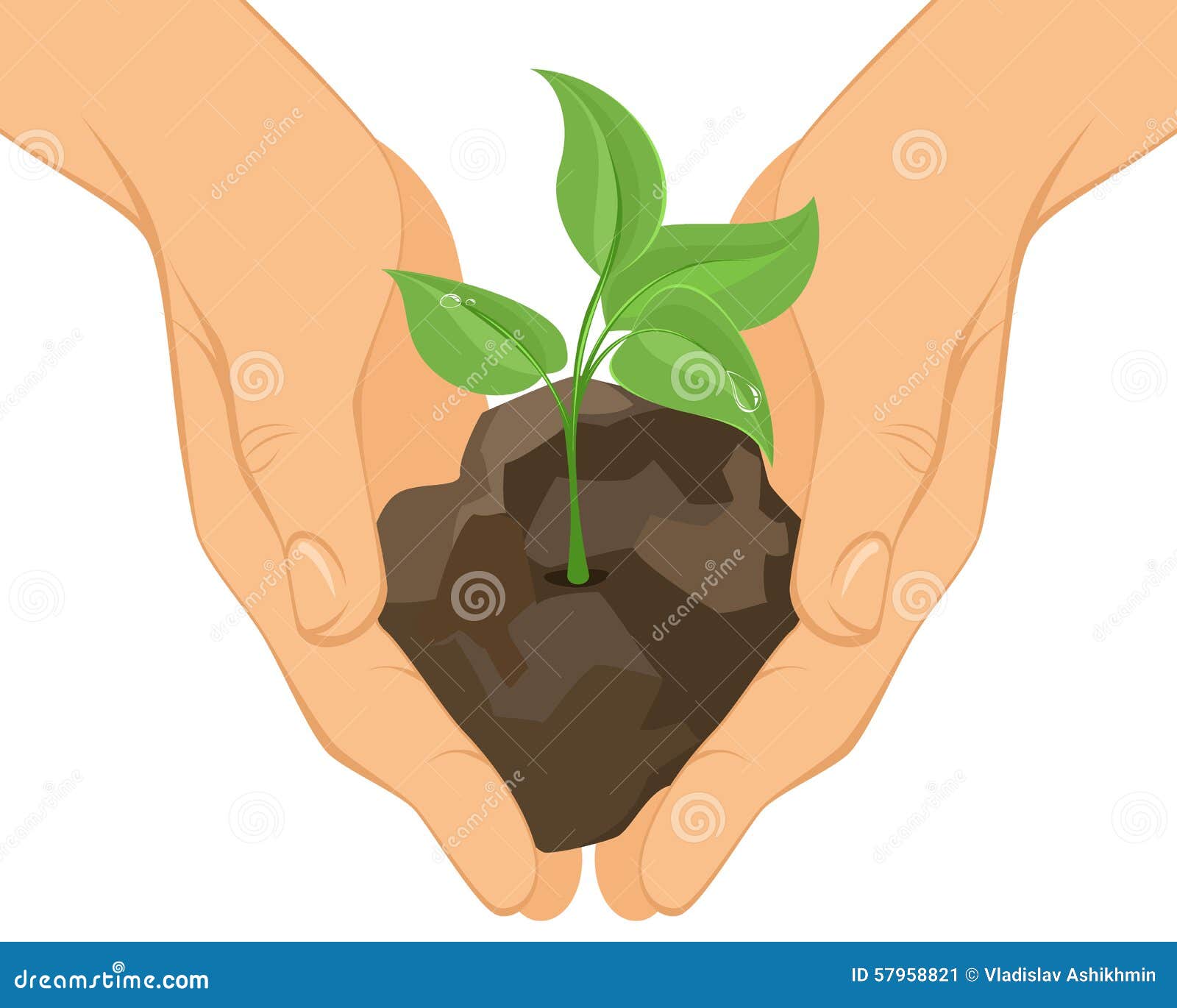 Green sprout in hands stock vector. Illustration of seed - 57958821