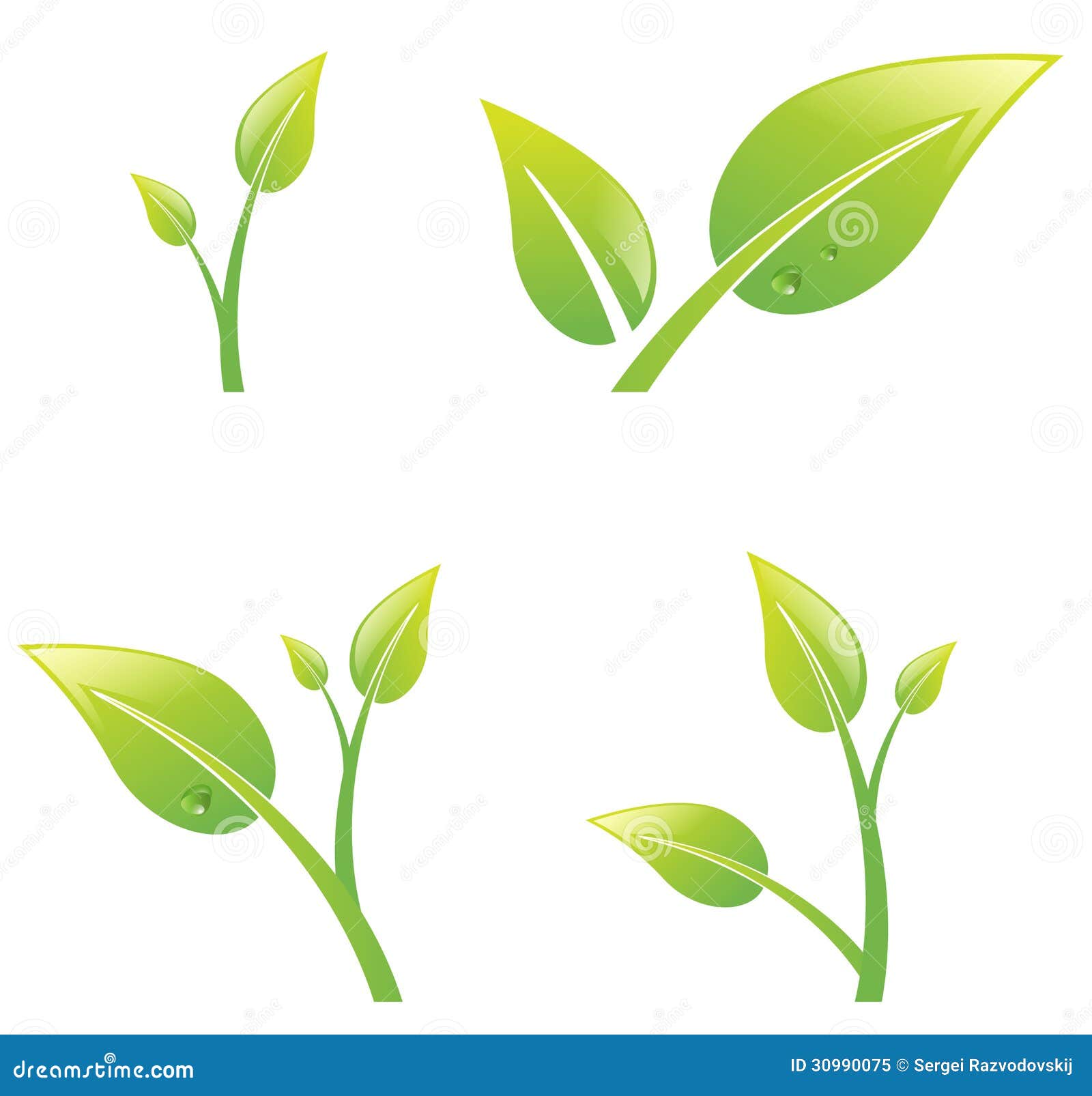 Green Sprout Leaf Set stock illustration. Illustration of nature - 30990075