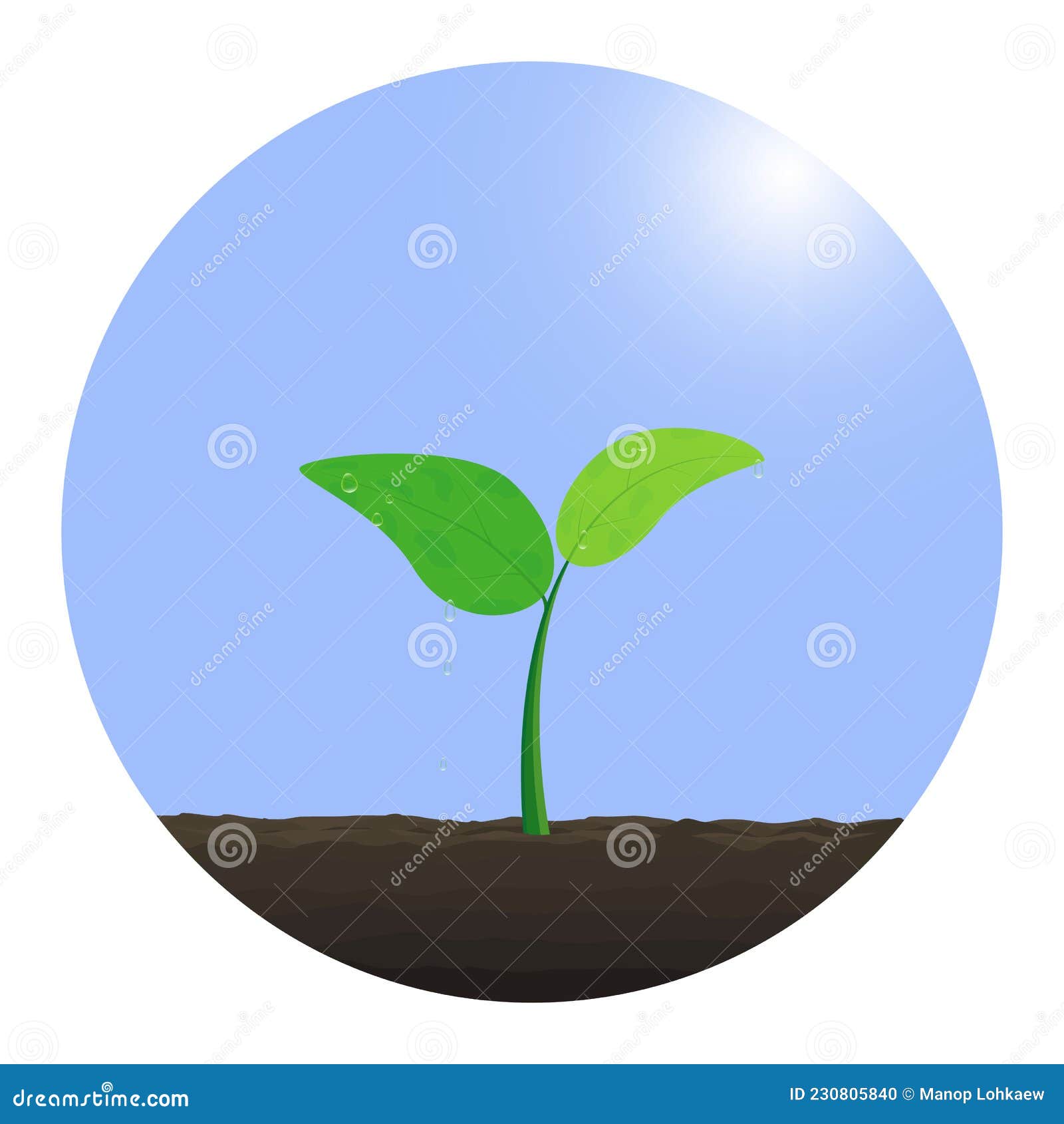 Green Sprout Logo Vector Illustration Stock Vector - Illustration of ...