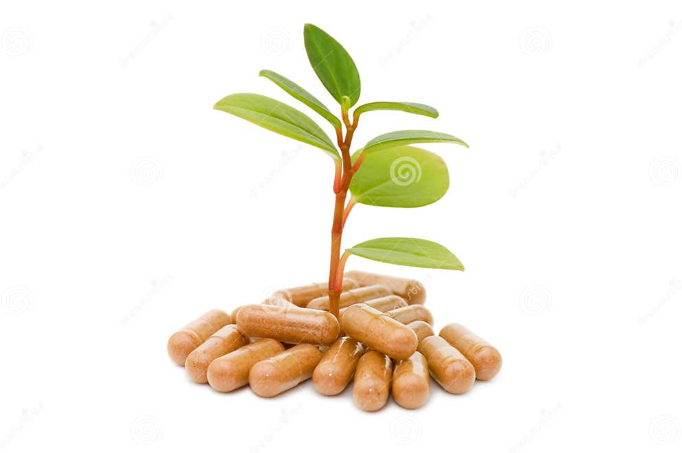 Green sprout from pills stock image. Image of natural - 14676277