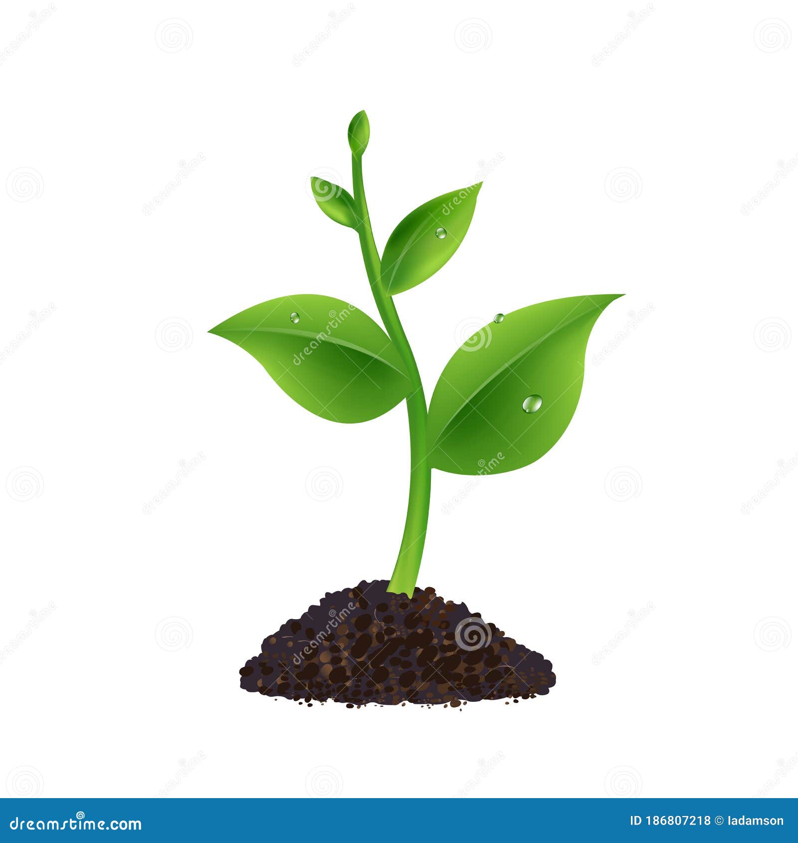 Green Sprout with White Background Stock Vector - Illustration of leaf ...