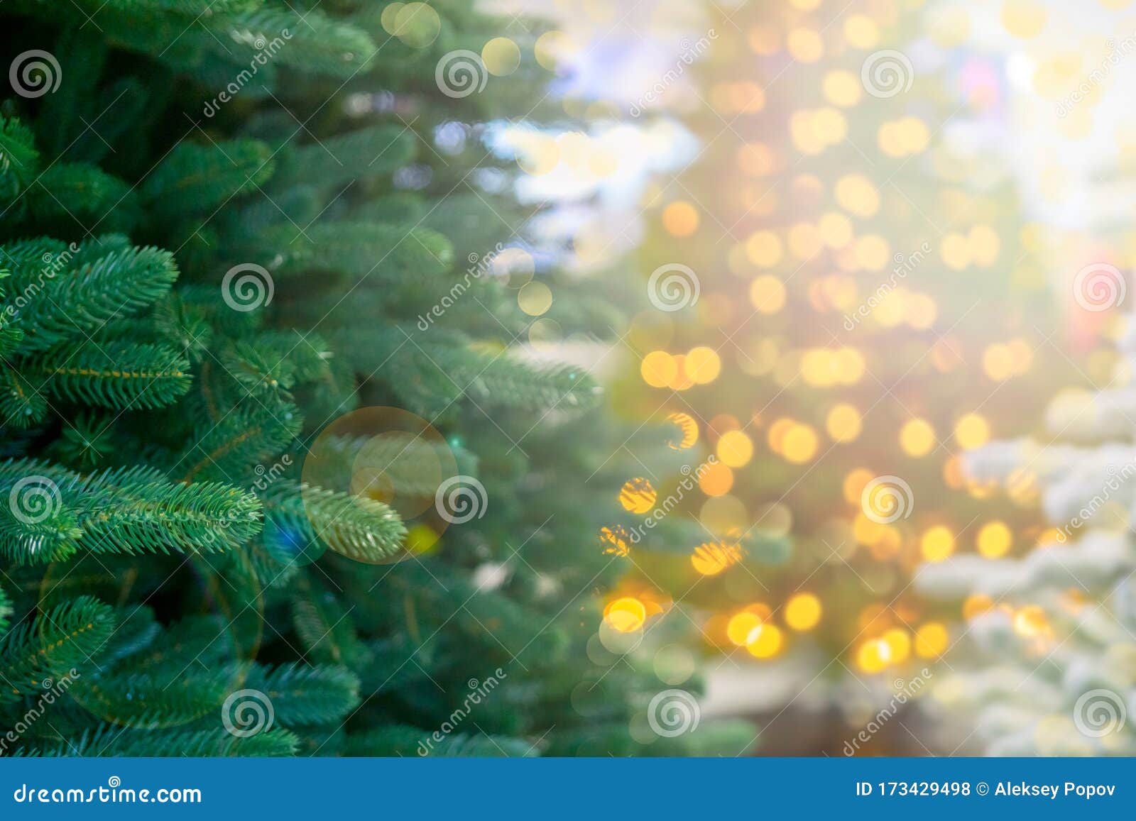 Green Spruce - Christmas Tree. Background for Design Stock Photo ...