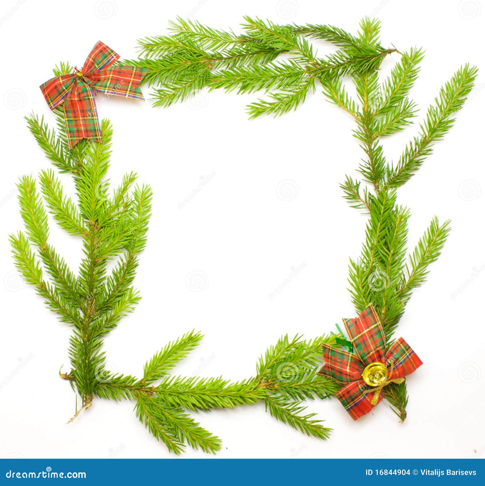 Green Spruce Frame with Decoration Stock Photo - Image of green ...